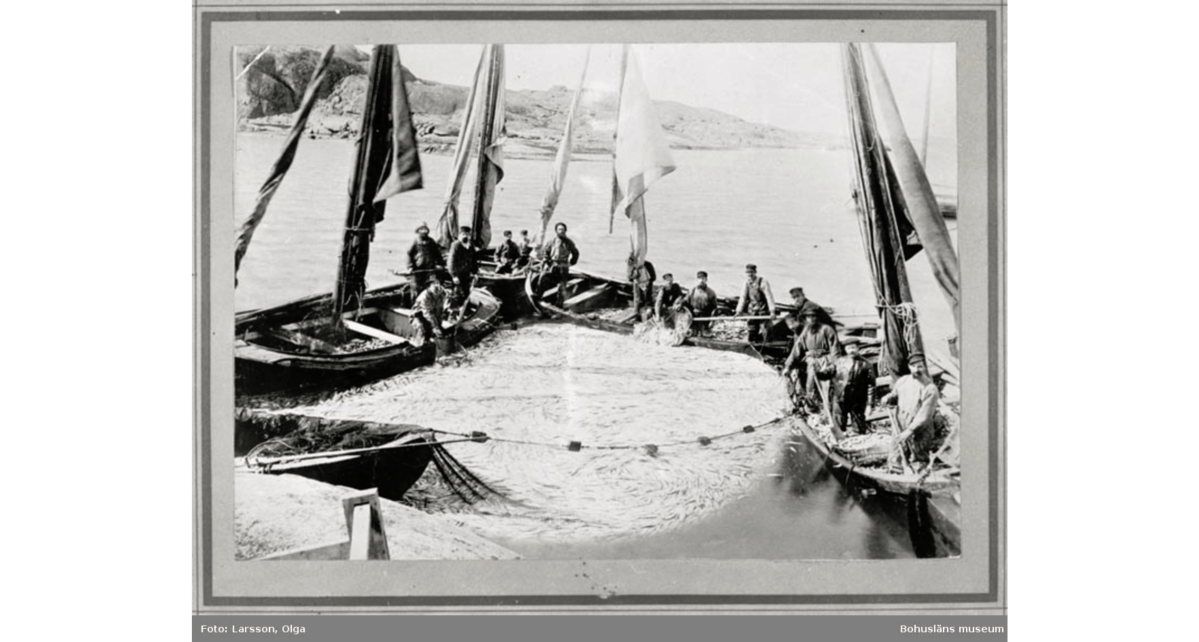 Wargarne förlorade vaden – Göteborgs historia