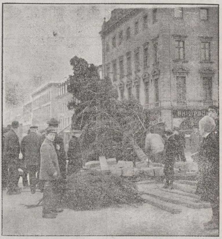 Stadens julgran reses vid Brunnsparken i dag – Göteborgs historia